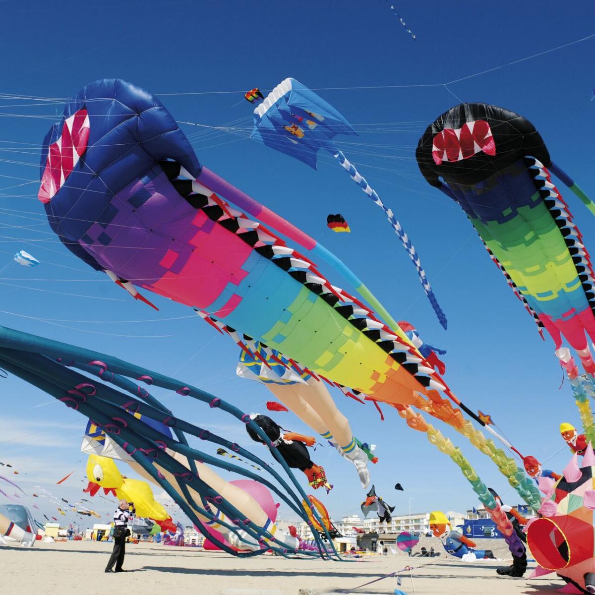 5 spots pour cerfs-volants | Site officiel Hauts-de-France Tourisme