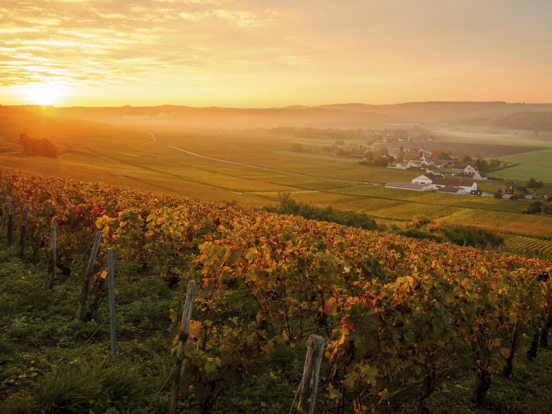 10 panoramas nature à contempler | Site officiel Hauts-de-France Tourisme