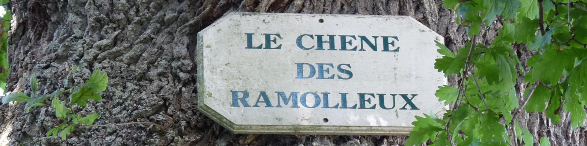 10 forests to get some fresh air in Hauts-de-France | Hauts-de-France ...