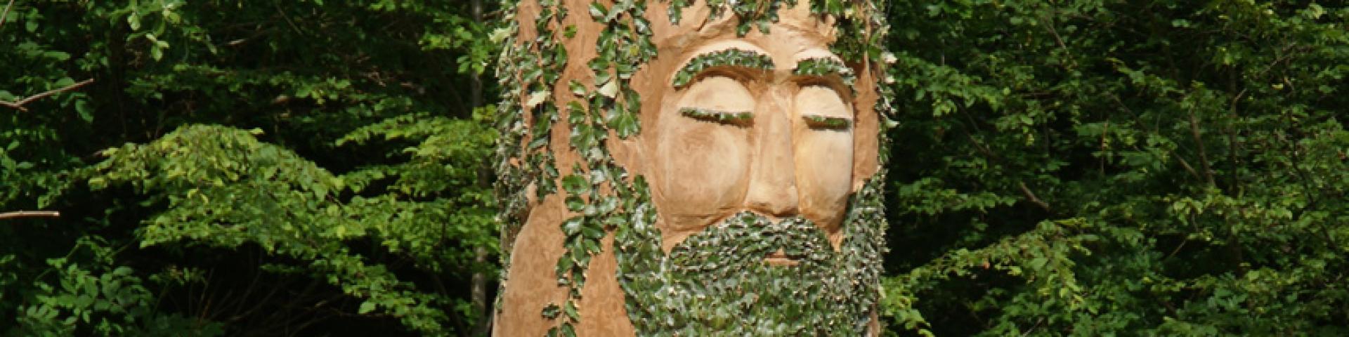 10 forests to get some fresh air in Hauts-de-France | Hauts-de-France ...