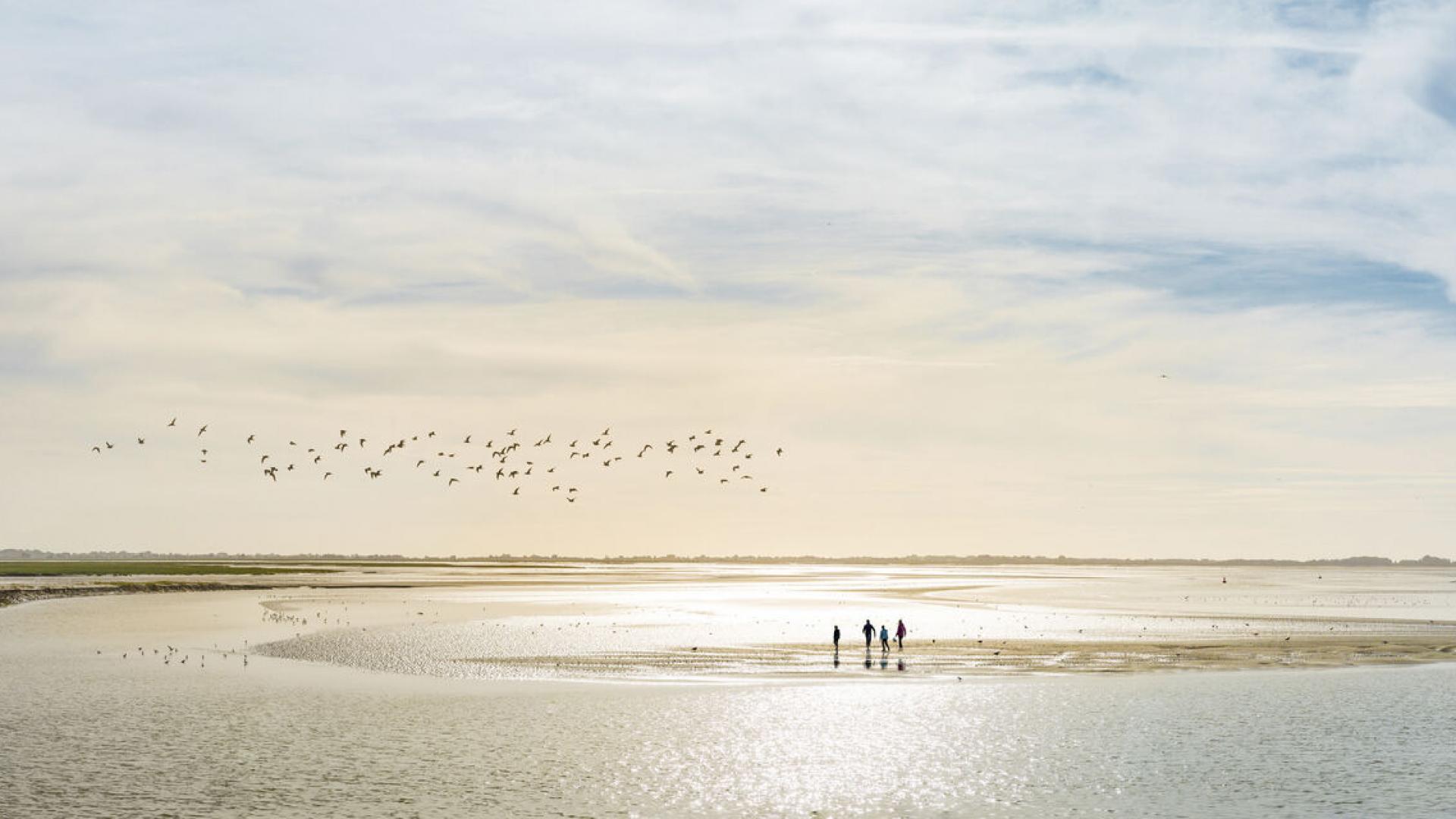 Somme Department | Hauts-de-France Tourism – Official Website