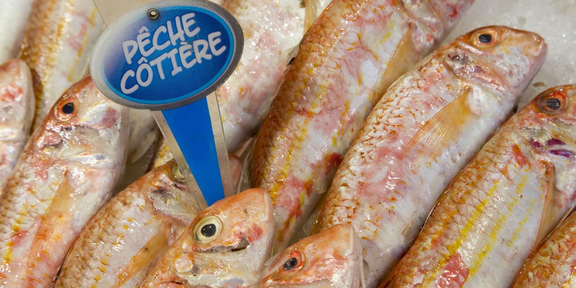 Types of fish in France perfect for a seafood feast | Hauts-de-France ...