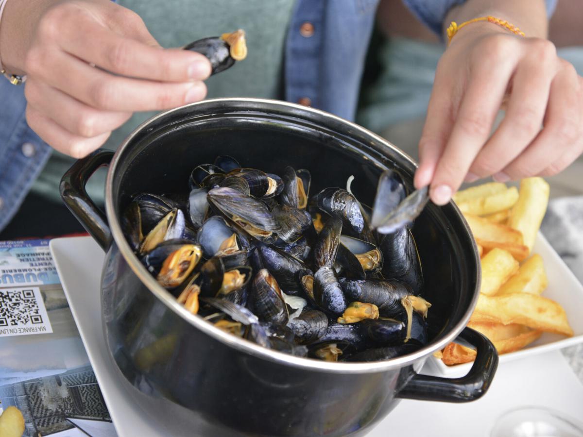 Frischer Fisch aus der Nordsee | Offizielle Website des regionalen ...