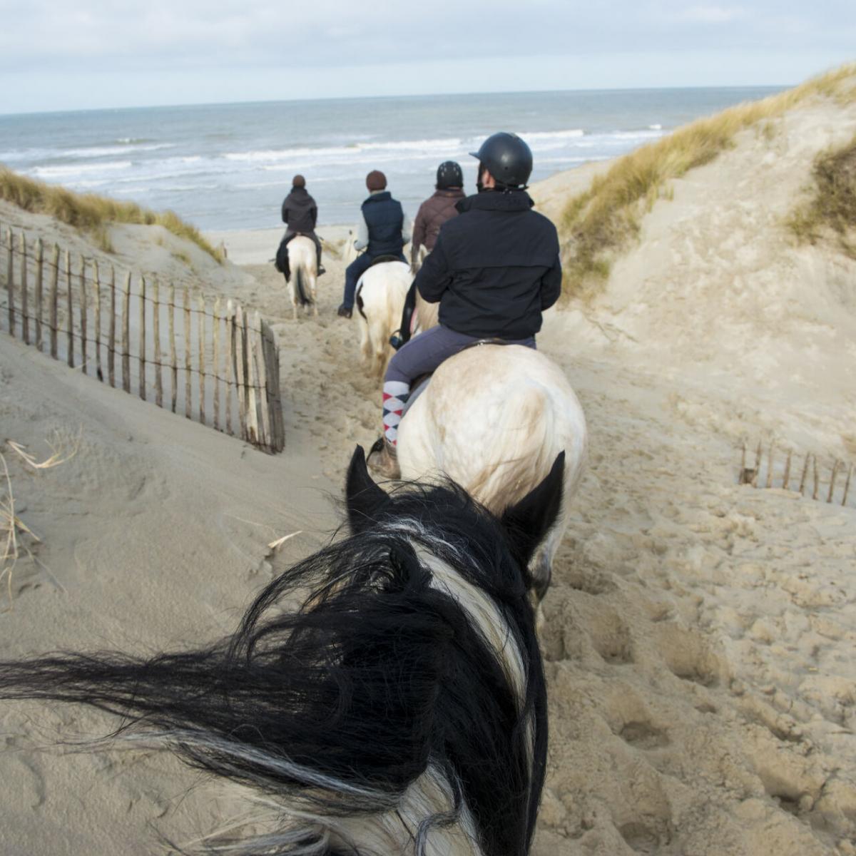 5 must-do’s in Le Touquet-Paris-Plage | Officiële site van toerisme in ...