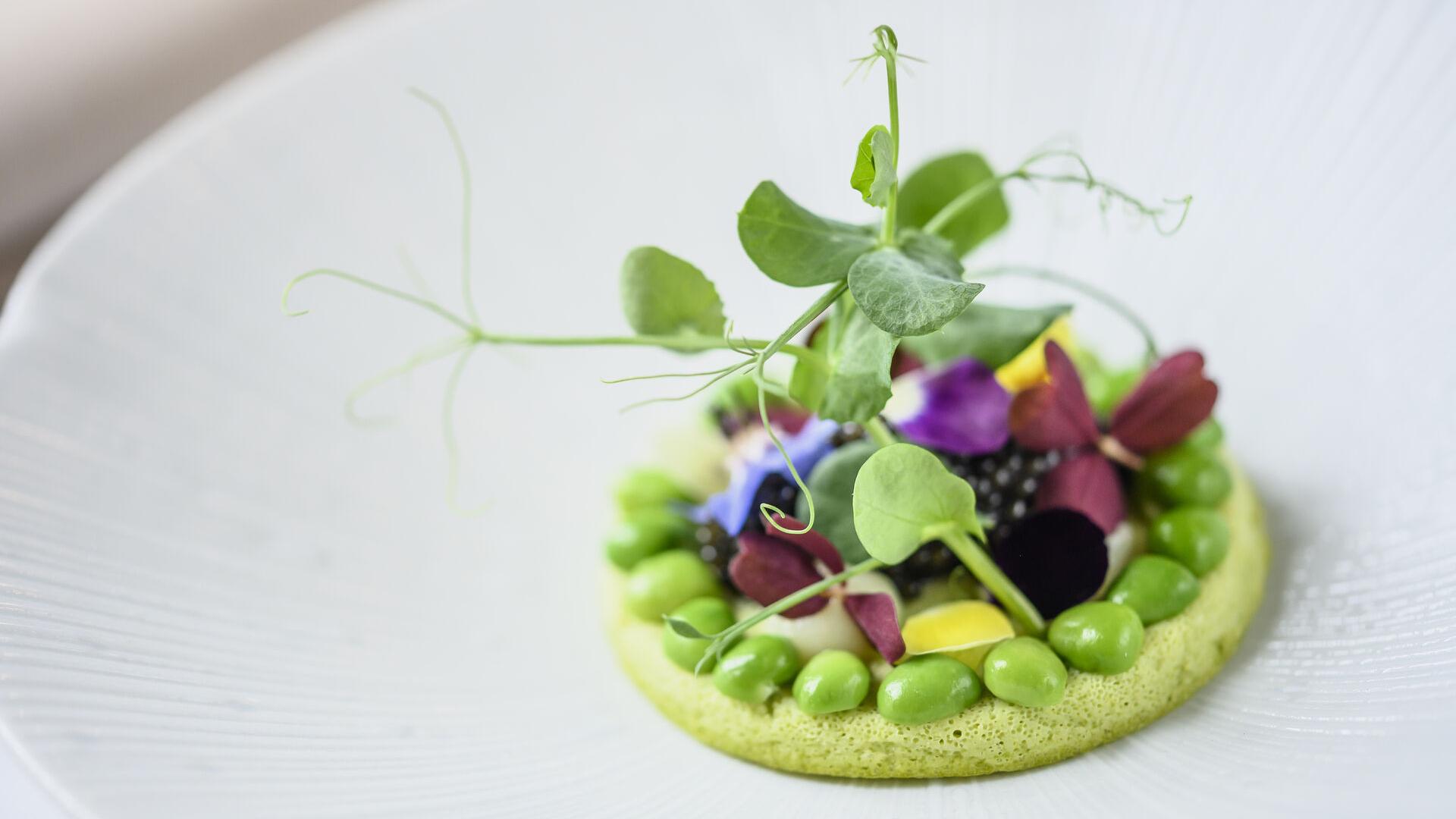 La Côte d’Opale | Site officiel Hauts-de-France Tourisme