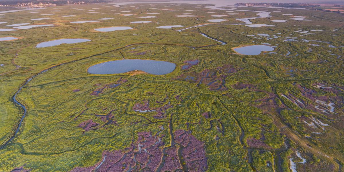 La Baie de Somme | Site officiel Hauts-de-France Tourisme